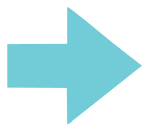 MTA Flint | Mass Transportation Authority in Flint, MIMTA Flint